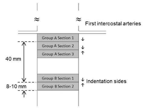 Schematic Of Locations Of Different Groups And Their Indentation Test Download Scientific
