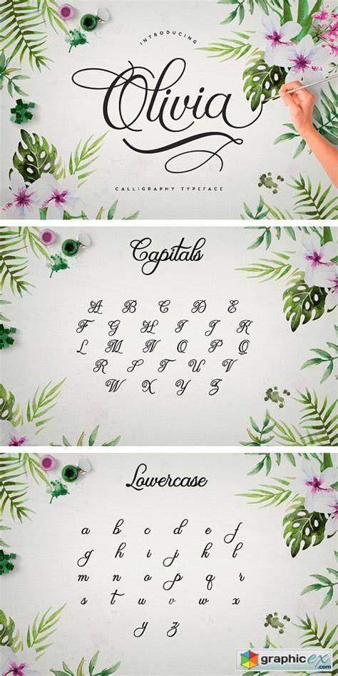 Olivia Script Font Free Download Vector Stock Image Photoshop Icon