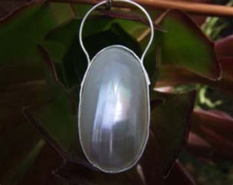 Ma Shell Etsy