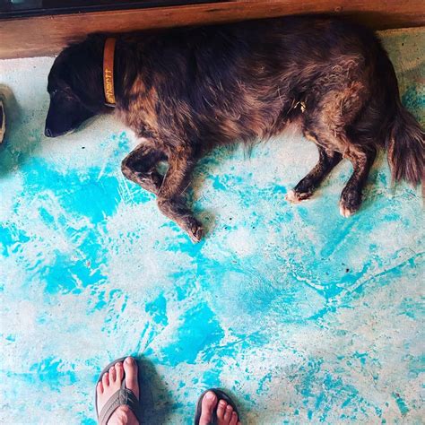 Devon Gummersalls Feet