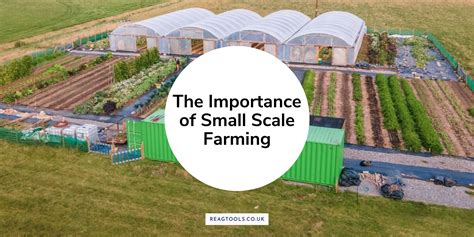 Successful Small Scale Farming Best Crops To Grow For Profit And Yield