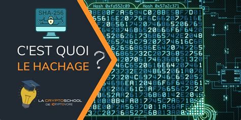 Cest Quoi Le Hachage Cryptovore
