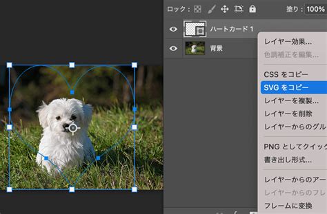 Cssのclip Pathのpathを作成して画像を切り抜く方法 Iwbjp