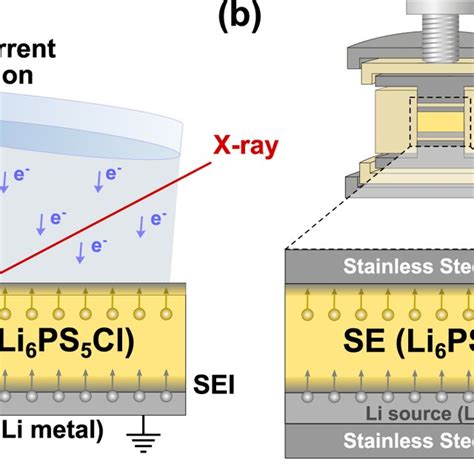 Schematic Representation Of Lithium Plating In Xps And A Solid Download Scientific Diagram