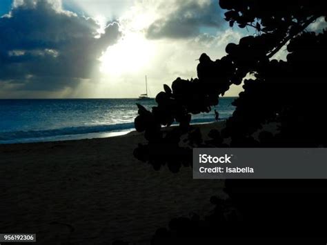 마르티니크의 카리브 섬에 구름과 어두운 푸른 하늘 나무 바다 해변에 산책 하는 관광객 들으로 아름 다운 목가적인 일몰 경관에 대한 스톡 사진 및 기타 이미지 Istock