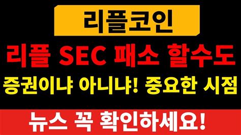 리플 Sec 패소 가능성도증권이냐 아니냐 중요한 시점 리플전망리플sec리플분석 Youtube