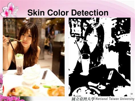 Ppt Skin Color Detection Powerpoint Presentation Free Download Id