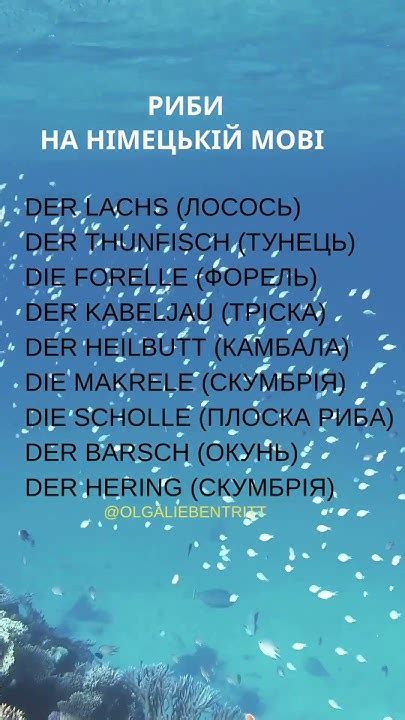 Риби на німецькій мові німецькамова біженці українцівнімеччині німецька Youtube