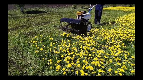 Мульчер Борьба с одуванчиками Youtube