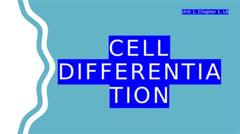 Cell Differentiation Igcse Biology Teaching Resources
