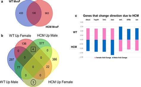 Sex Differences At Transcriptomic Level A Venn Diagram Representing Download Scientific