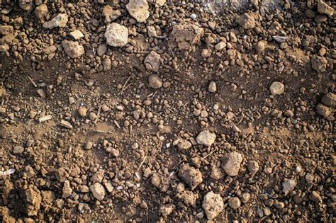 97 000 Loamy Soil Pictures