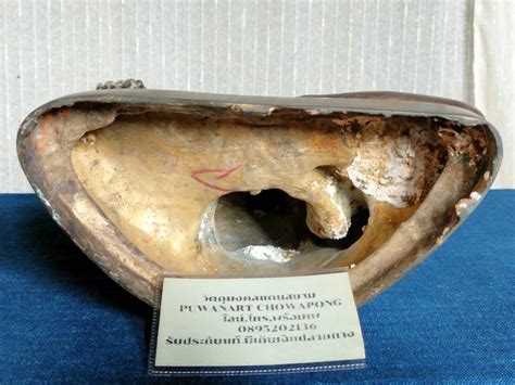 พระบูชาศิลปะแบบสุโขทัย หลวงปู่สุภา กันตสีโล วัดสีลสุภาราม จ ภูเก็ต หน้าตัก9นิ้ว Ennxo