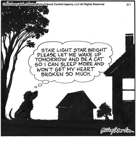 Star Light Star Bright