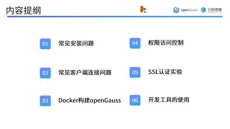 彭冲 openGauss实践总结 pdf 墨天轮文档