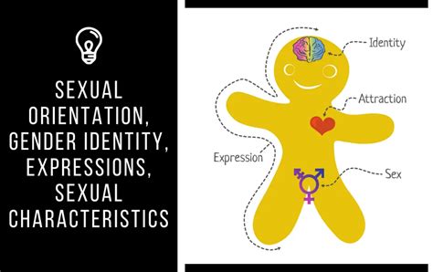 The Genderbread Person Version 40