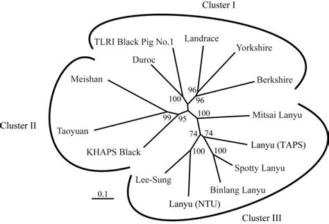Phylogenetic Trees Constructed From Cavalli Sforza Edward Chord Genetic