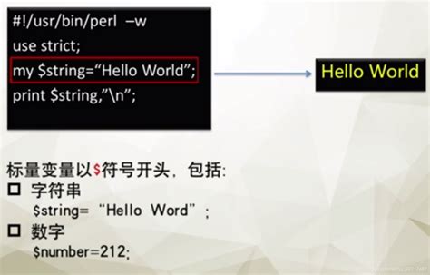 Perl编程 Csdn博客