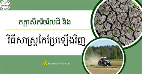 វិធីងាយៗក្នុងការបណ្ដុះសណ្ដែកបណ្ដុះនិងវិធីរក្សាទុកសណ្ដែកបណ្ដុះដោយខ្លួនឯង នាទីកសិកម្ម Kaksekam