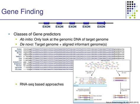 Ppt Multiple Sequence Alignment Powerpoint Presentation Free Download Id 1606526