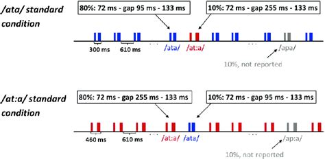 Schematic Illustration Of The Experiments And Stimuli Download Scientific Diagram