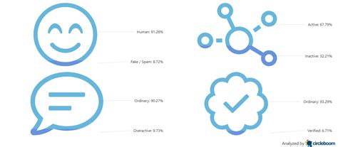 Twitter X Follower Segmentation