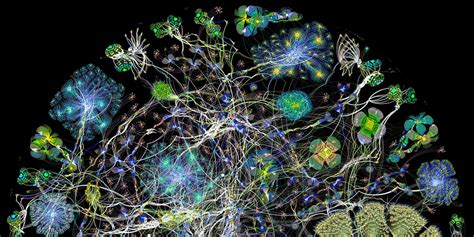 Graphcore Sets New Ai Performance Standards With Mk2 Ipu Systems