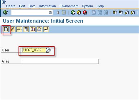 Su53 Display Auth Data Sap Security Pages