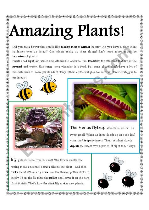 Plants Esl Worksheet By Dakİn