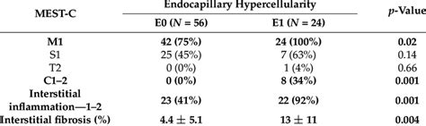 Histopathological Variables Related To Endocapillary Hypercellularity Download Scientific
