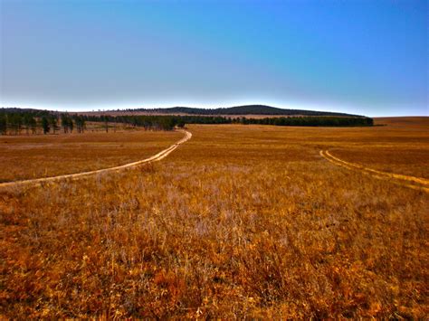 Дуурлиг нарсны Хүннүгийн булш