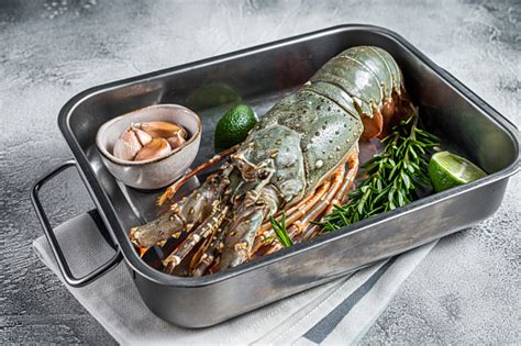 신선한 생 가시 랍스터 또는 바다 가재를 요리 할 준비가되었습니다 흰색 배경입니다 상위 뷰 갈고리 발톱에 대한 스톡 사진 및 기타 이미지 Istock