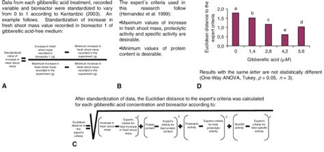 Calculation Of The Euclidean Distance To The Experts Criteria For