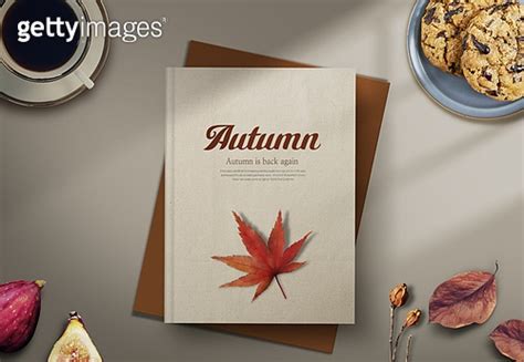 그래픽이미지 Computer Graphics 가을 백그라운드 감성 이미지 Jv13060080 게티이미지뱅크