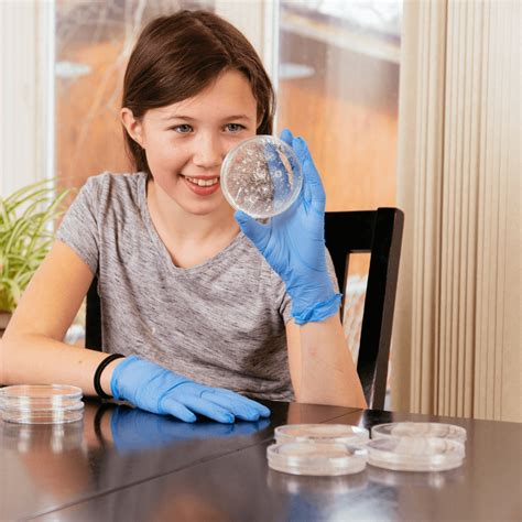 Science Fair Projects Ideas High School