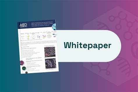Simultaneous Visualization Of Rna And Protein Targets Using The New Co Detection Kit