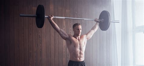 Мышцы человека строение скелетной мышцы движения и функции мышечных групп