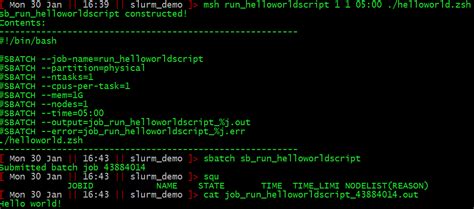 Running Jobs On The Server Slurm And Shell Scripts
