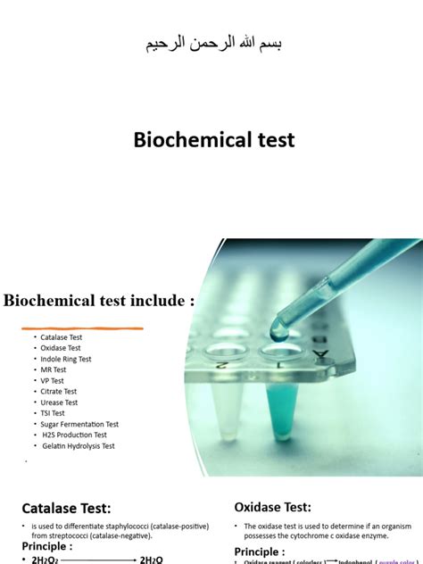 Biochemical Test Pdf Growth Medium Bacteria