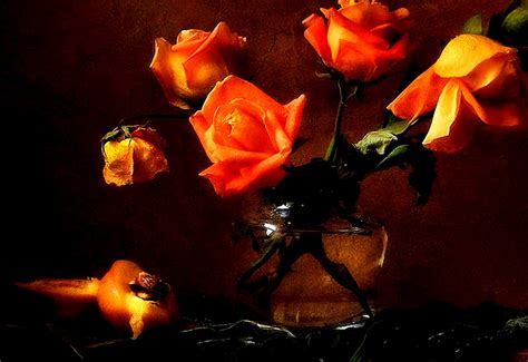 230 Заставки на телефон Троянда Скачати Безкоштовно шпалери