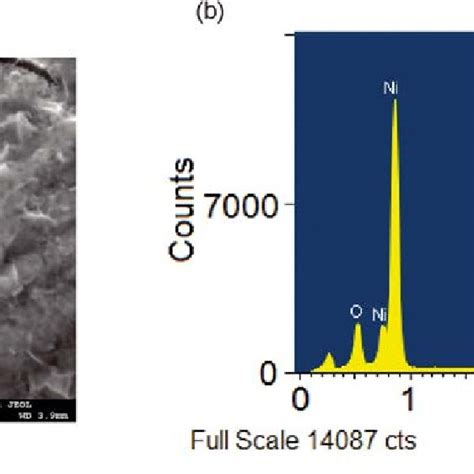Classification Of Eor Techniques Download Scientific Diagram