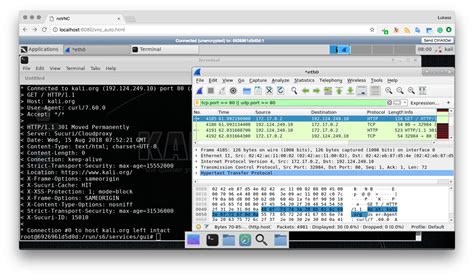 Github Lukaszlach Kali Desktop Whale Kali Linux Desktop Running In Docker On Any Operating