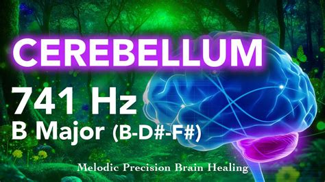 Cerebellum Healing With 741 Hz Frequency And B Major Chords Forest Soundscape Youtube
