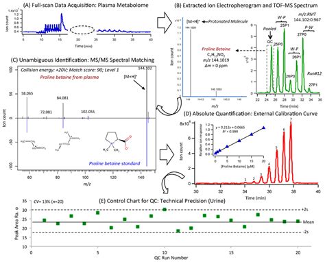 Of The Metabolomics Data Workflow In Msi Ce Ms For The Identification Download Scientific