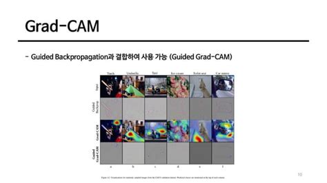 Grad Cam Visual Explanations From Deep Networks Via Gradient Based