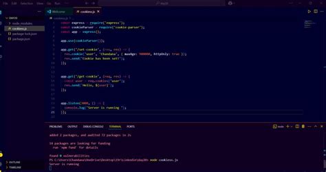 Nodejs Webdevelopment Cookies Javascript Expressjs Websecurity