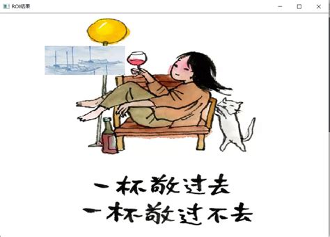 Opencv Image Region Of Interest Roi Programmer Sought