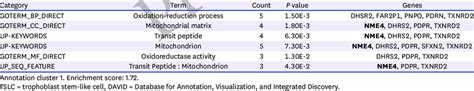 Functional Annotation Clustering In The Tslcs From Preeclamptic Download Scientific Diagram