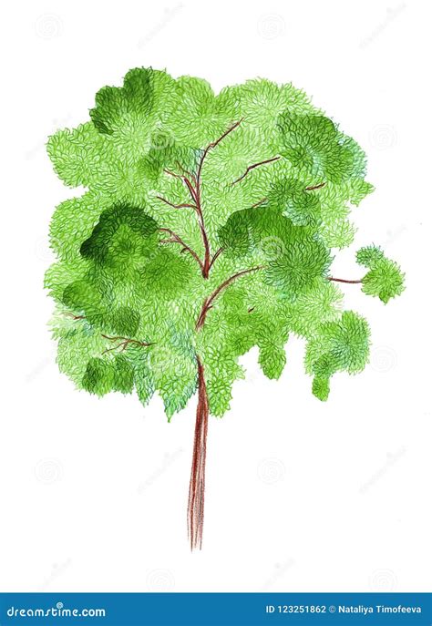 Hand Drawing Of A Tree With A Branching Crow Stock Illustration Illustration Of Sketch Nature