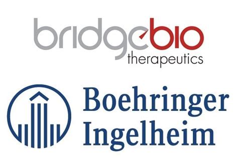 브릿지바이오 독일 베링거에 001 희귀 폐병약 기술수출 네이트 뉴스